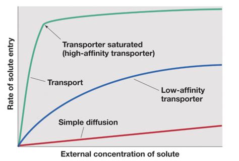 Biol 2051 Chapter 2 Microbial Cell Structure And Function Flashcards Quizlet