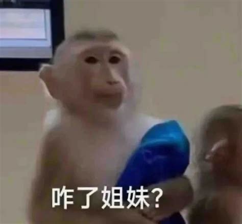 吗喽表情包 都给我死相关表情包 表情包专辑 求表情网 斗图从此不求人