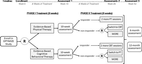Study Design For The Optimize Study A Sequential Multiple Assessment