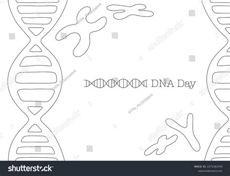 Dna Female Male Images Stock Photos Vectors Shutterstock