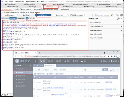 【测试】抓包技术哪家强？关于burp、fiddler、charles三个工具的抓包测试 fiddler和buepsuite的区别 csdn博客