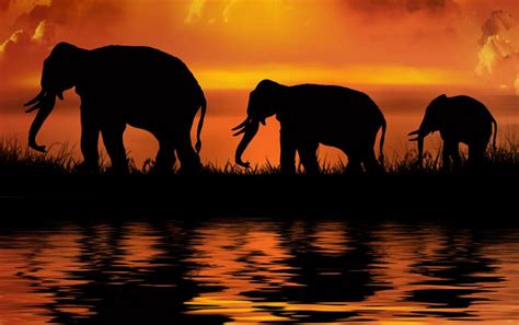 is there a limit on number of partitions handled by postgres elephas