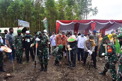 Gubri Bersama Kapolda Dan Danrem 031 WB Lakukan Tanam Perdana Bibit