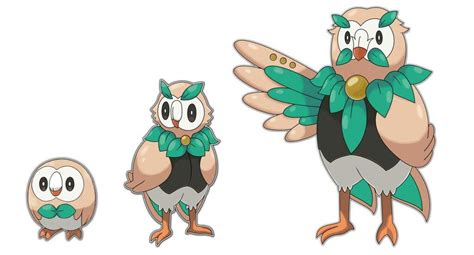 Rowlet Evolution Thoughts Pokémon Amino