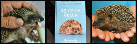 25 gram geluk [recensie]