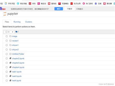 windows系统下进入jupyter本地服务器（localhost 的步骤 怎么直接输网址进jupyter csdn博客