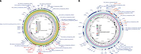Frontiers Characterization Of Resistance Genes And Plasmids From Sick