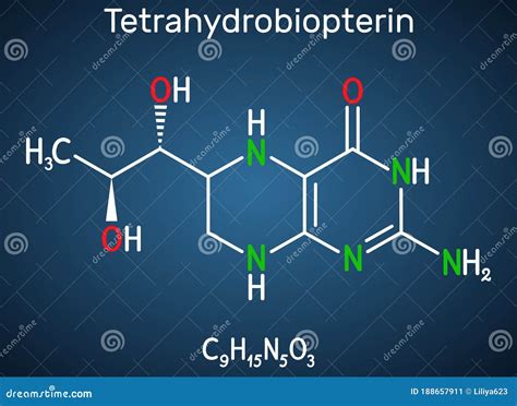 Tetrahydrobiopterin Bh4 Thb Sapropterin Molecule It Has Role As
