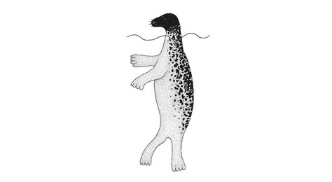 Seaopedia Leopard Seal The Soap And The Sea
