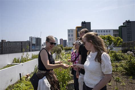 Pluk En Proef De Stad Rotterdamse Dakendagen