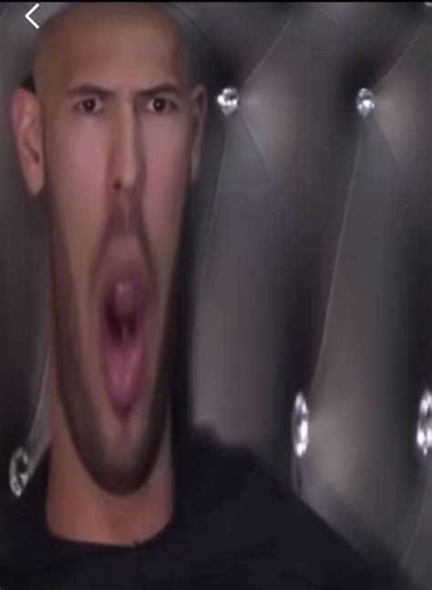 Voicemod Meme