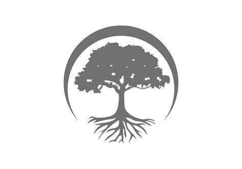 Tree Roots Logo Png