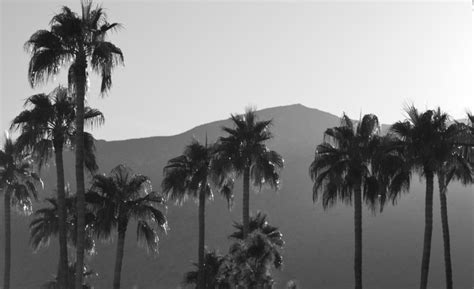 Joseph Sayers By Hudson Wright Mojave Desert Homotography