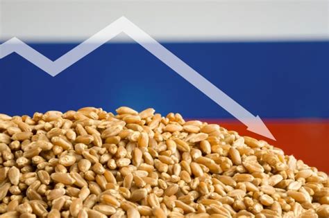 Les Instruments Du Soft Power Russe En Afrique Vudailleurs