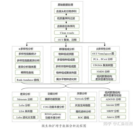 高通测序数据分析 知乎