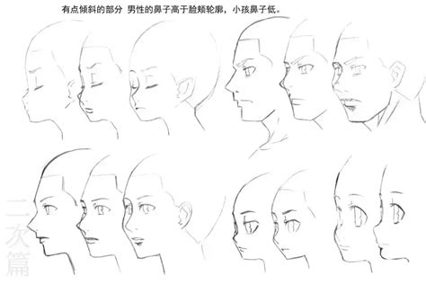【板绘教程】二次元侧脸怎么画，动漫人物侧脸画法 知乎