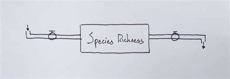 How I Teach Speciation With A Stock And Flow Model