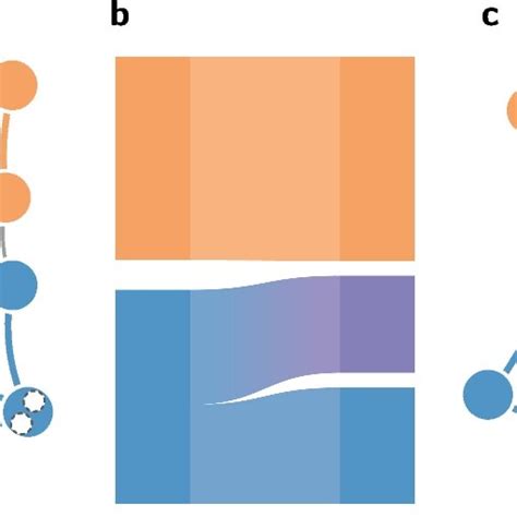 Schematic First Order And Higher Order Networks And Alluvial Diagram