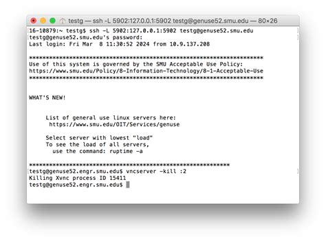 Graphical Applications With VNC MacOS