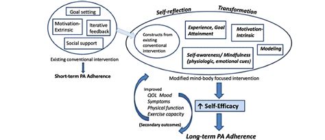 Conceptual Model Pa Physical Activity Qol Quality Of Life