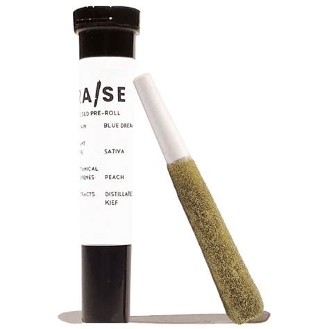 Infused Pre Roll Girl Scout Cookies Weed Delivery