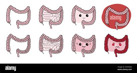 Ensemble d illustrations gastro intestinales simples du système interne