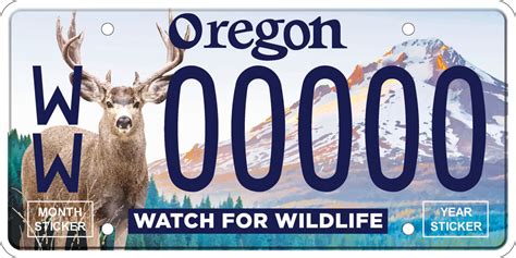 Oregon License Plates Bee A Supporter Of Oregon Pollinators With New