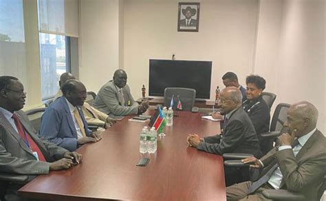 Senior Eritrean Delegation Held Bilateral Talks With Delegates Of Several Countries Eritrea