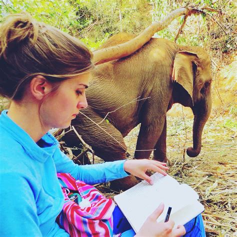 The Hd Lab — Megan S Jones