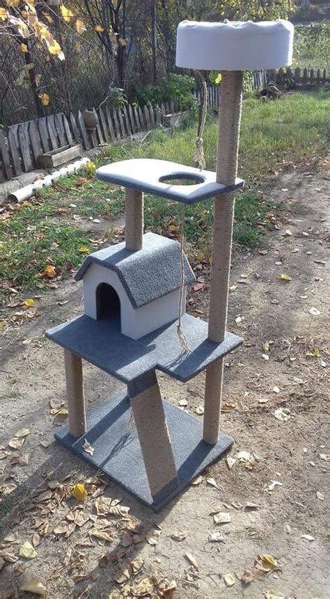 Katis Saxli Da Safxachni კატის სახლი და საფხაჭნი Cet House Added A New Katis Saxli Da