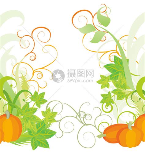 秋天纹理橙色南瓜背景插画图片下载 正版图片402209521 摄图网