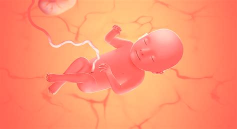 Gravid Uge 39 Følg Din Graviditet Uge For Uge