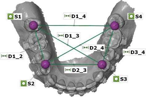 Measurement Of Linear Distances D12 D13 D14 D23 D24 D34 Download Scientific