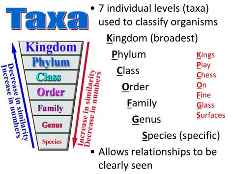 Ppt Classification History Powerpoint Presentation Free Download