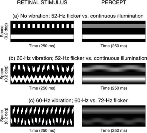 A C Effects Of Eye Vibration On The Perceived Appearance Of A Point Download Scientific Diagram