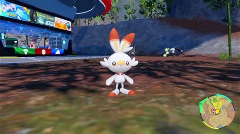Pokémon Scarlet And Violet My Scorbunny Evolved Into Raboot Youtube