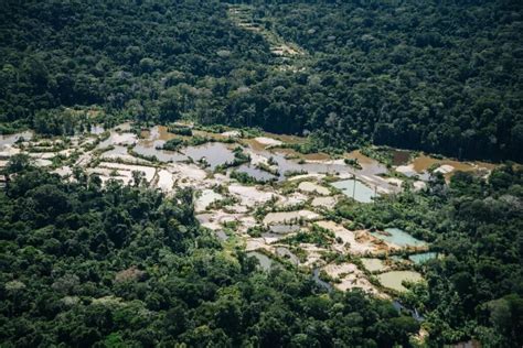Estudo calcula expansão do garimpo em terras indígenas CicloVivo