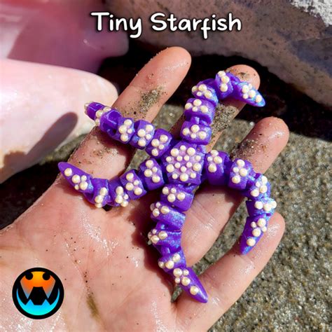 🌊 Tiny Starfish・ 3d File For 3d Printing・cults
