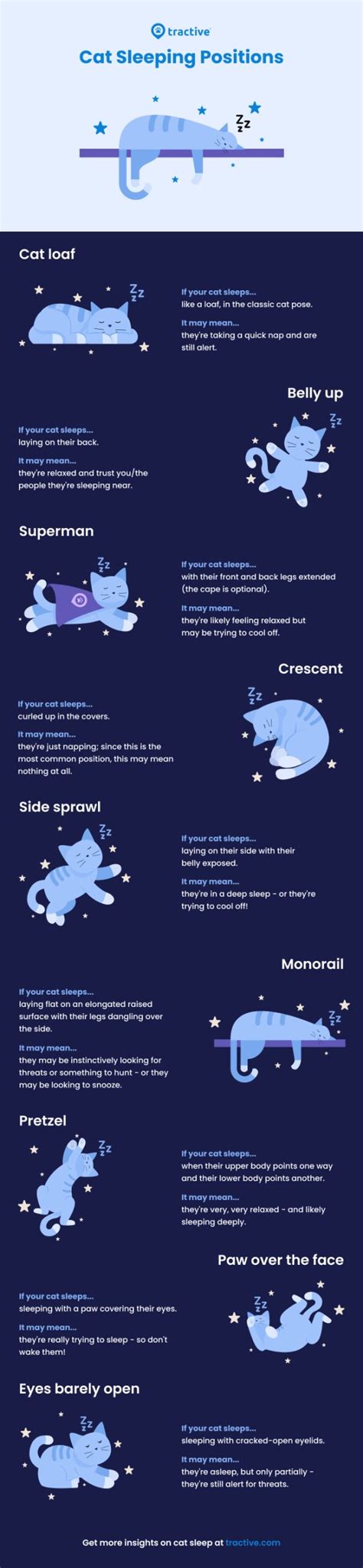 9 Cat Sleeping Positions And Their Meaning Revealed Tractive