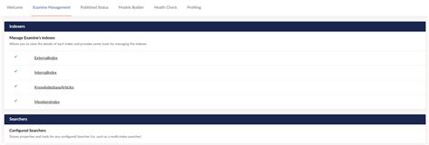 How To Create A Custom Index In Umbraco V9