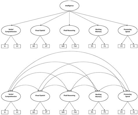 wisc v measurement invariance according to sex and age advancing the
