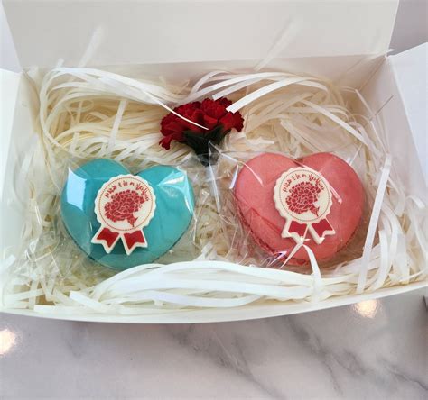스승의날 카네이션 마카롱 선물 카네이션 도시락케이크 부산광역시 기장군 정관읍 비즈프로필