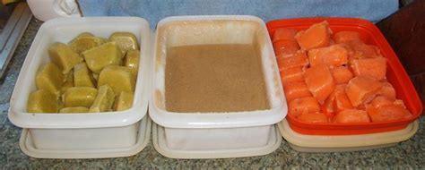 The Tpg Sugar Glider Diet Pet Food Guide
