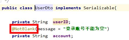 Java Bean Notblank Notempty Notnull Beanutil