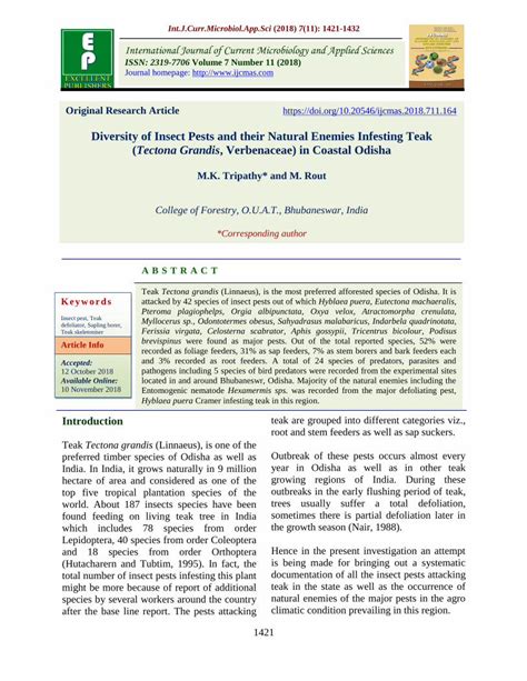 Pdf Diversity Of Insect Pests And Their Natural Enemies Infesting