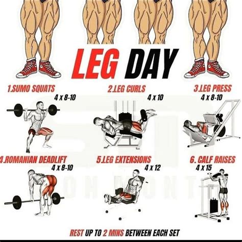 Leg Day Gym Workouts For Men Workout Plan Gym Leg Workout