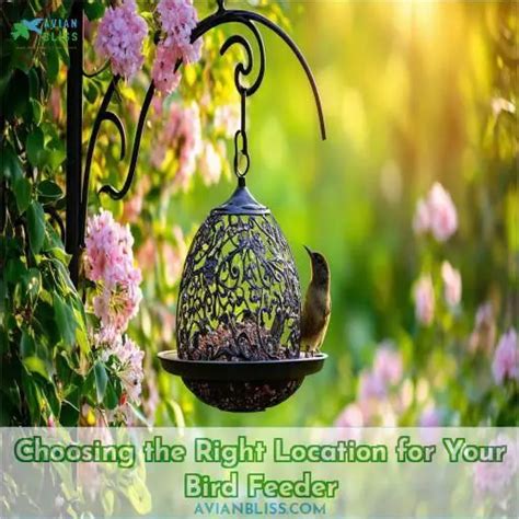 How To Hang A Bird Feeder Without A Tree Creative No Tree Solutions