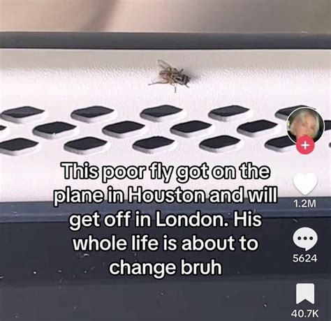 25 Memes Gathered From The Weirdest Depths Of Facebook Know Your Meme