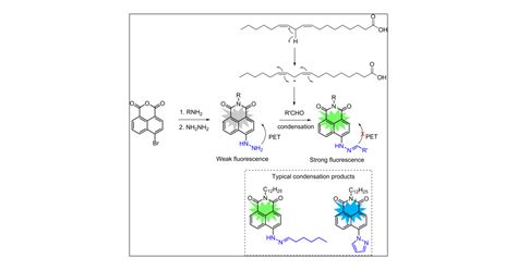 Naphthalimide Based Fluorescent Probe For Profiling Of Aldehydes During Oxidation Of Unsaturated