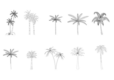 Tree Line Drawing Side View Graphics 27439310 Vector Art At Vecteezy